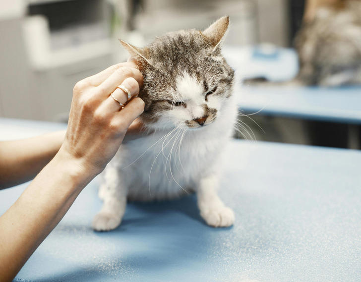 12 acts of kindness that remind us compassion is still holding humanity ...