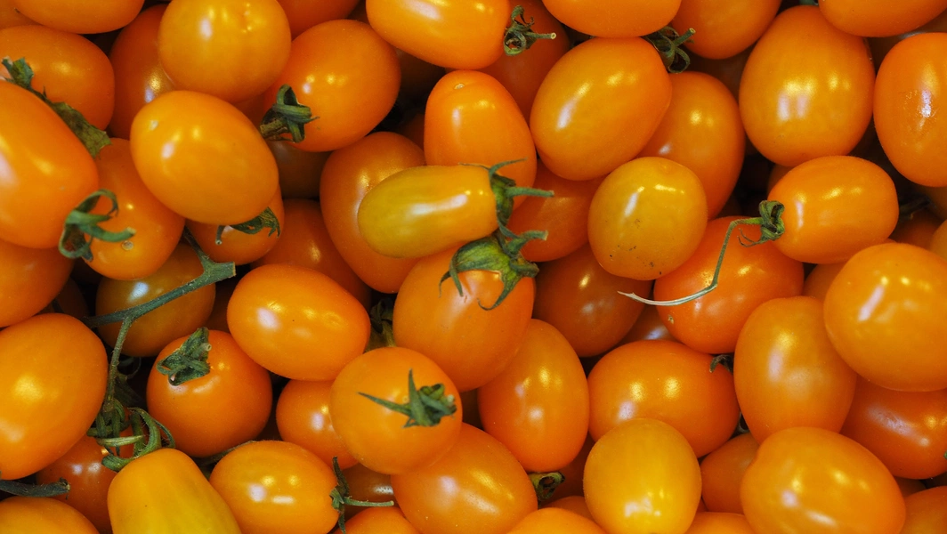Master the art of homemade passata