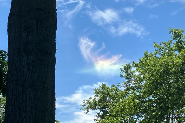 'Fire rainbow' phenom spotted in the skies over NJ and MSG