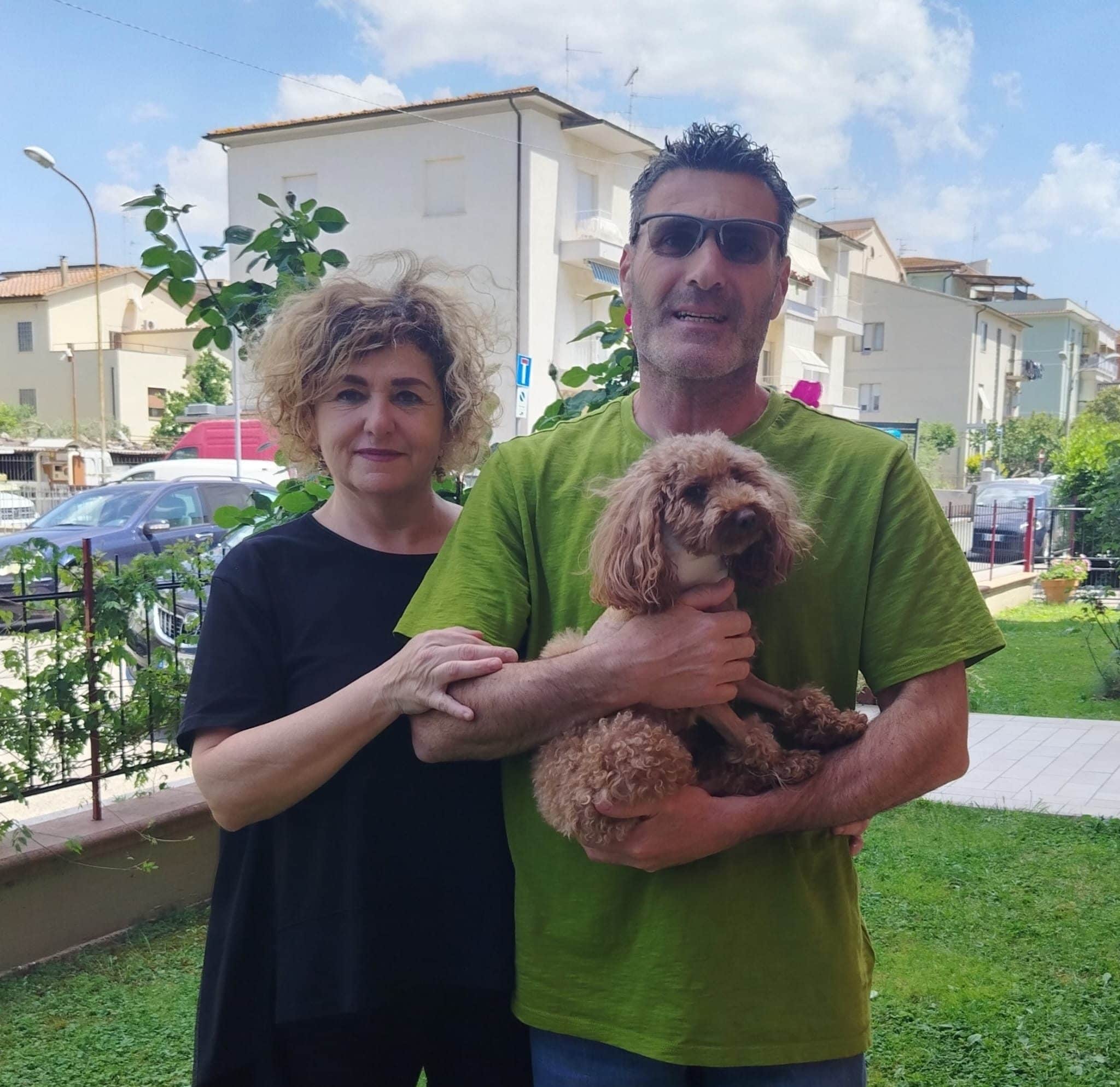 Il barboncino Buddy è il primo cane di piccola taglia con pacemaker ...