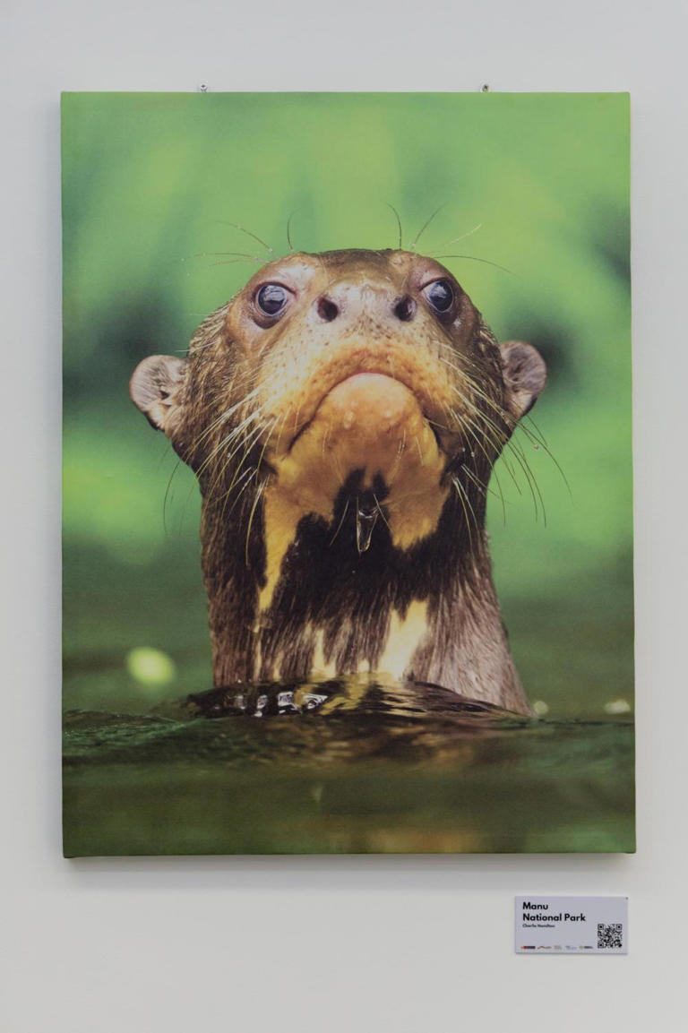 Peruvian nature in focus at Siam Discovery