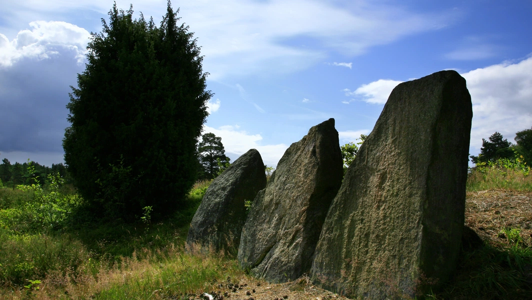 Ancient DNA shows Neolithic families bound by social ties