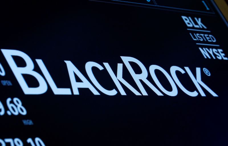 BlackRock sees merit in large scale mining M&A