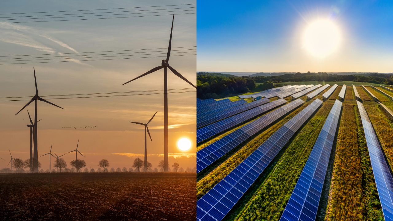 China plans a giant overseas renewable energy plant with 1,000 turbines ...