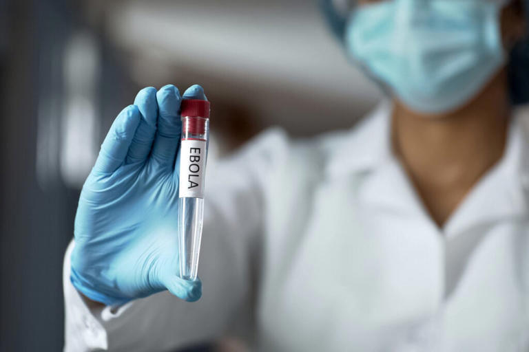 Soligenix (SNGX) stock soars 72% on ThermoVax platform promise amid ...