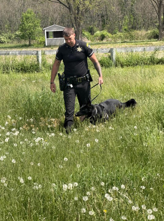 Saratoga Co. sheriff deputy, K-9 graduate from human remains detection ...