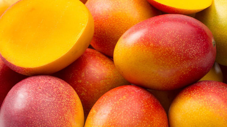 Which Indian city is famous for kesar mangoes?