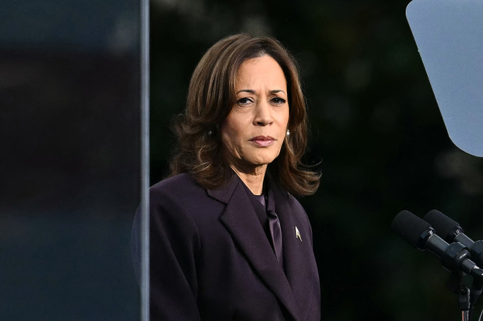 5 findings from DNC's after action report: Harris ‘messaging misalignment’