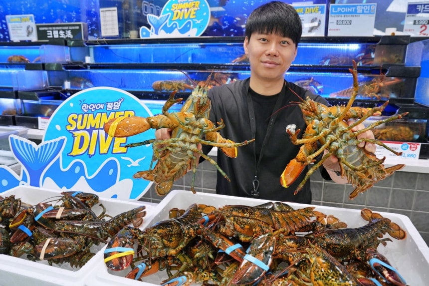 캐나다산 활랍스터가 반값에… 롯데마트, 수산물 할인 판매