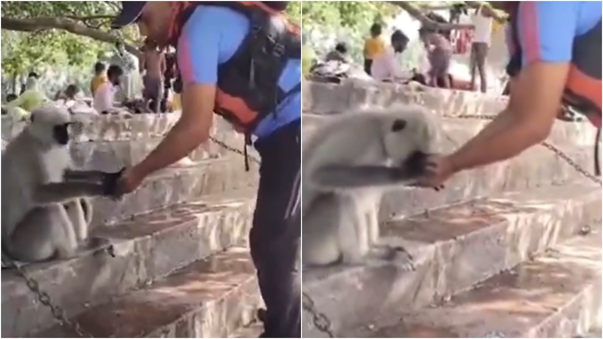 Uttarakhand cop helps thirsty monkey drink water from his own hands ...