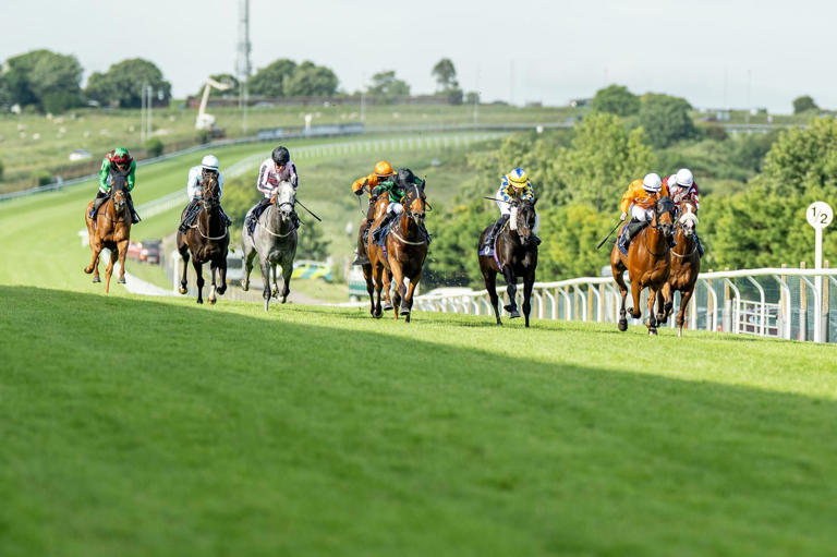 Brighton Racecourse ready to re-open on Friday following track recovery