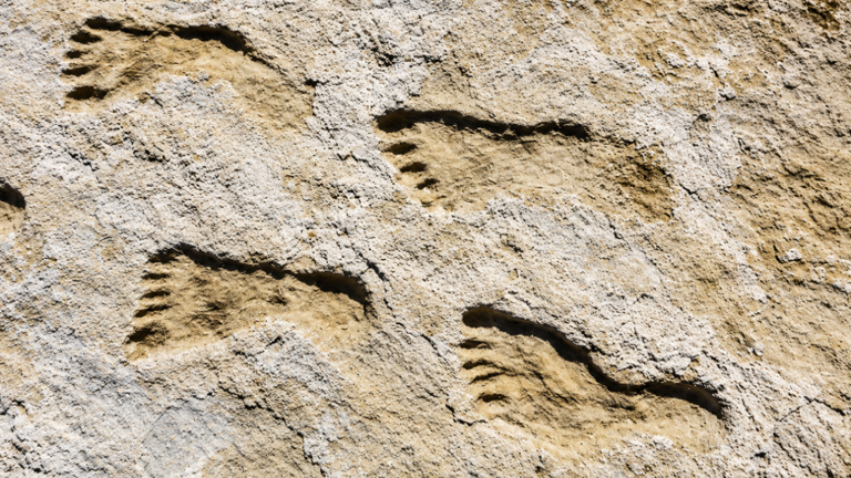 23,000-year-old footprints in New Mexico changed everything scientists ...