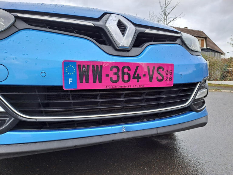 « Elles sont stylées » : peut-on installer une plaque d'immatriculation ...