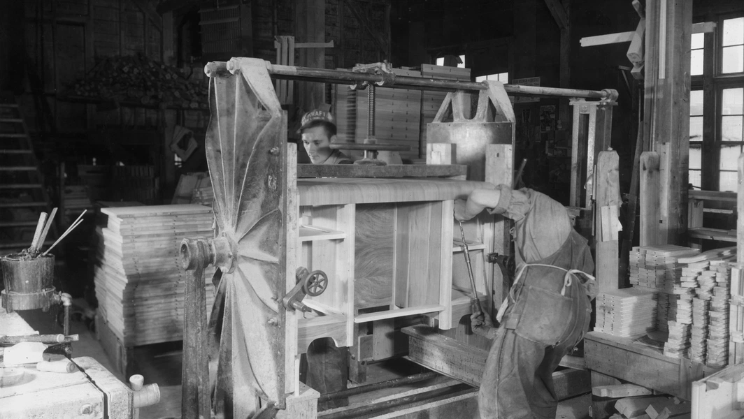Woodworking essentials every beginner should know