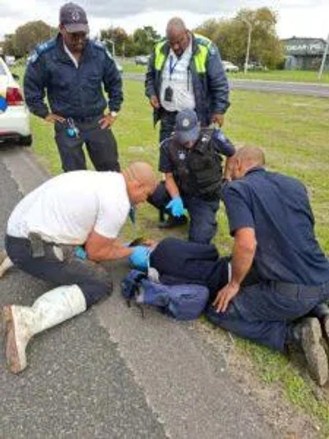 SPCA saves 24 dogs from neglect in Dunoon and aids a child in distress