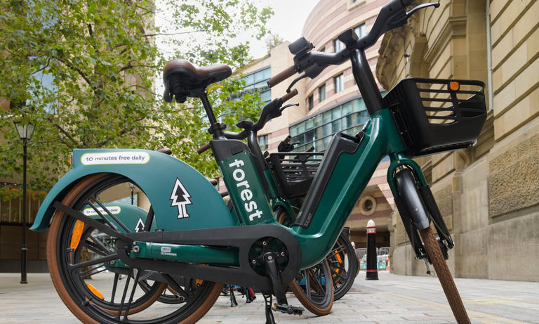 Investors in e-bike firm Forest eye hefty gains as shares go on sale