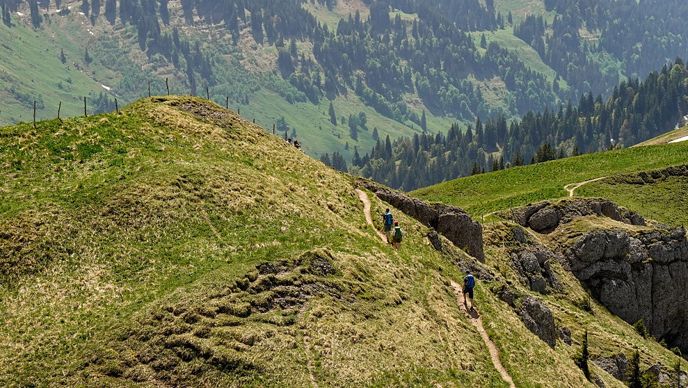 Find your perfect US hiking trail match