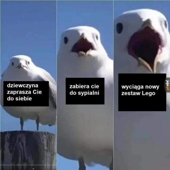 Klocek pod stopą, czyli dlaczego memy o LEGO śmieszą wszystkich