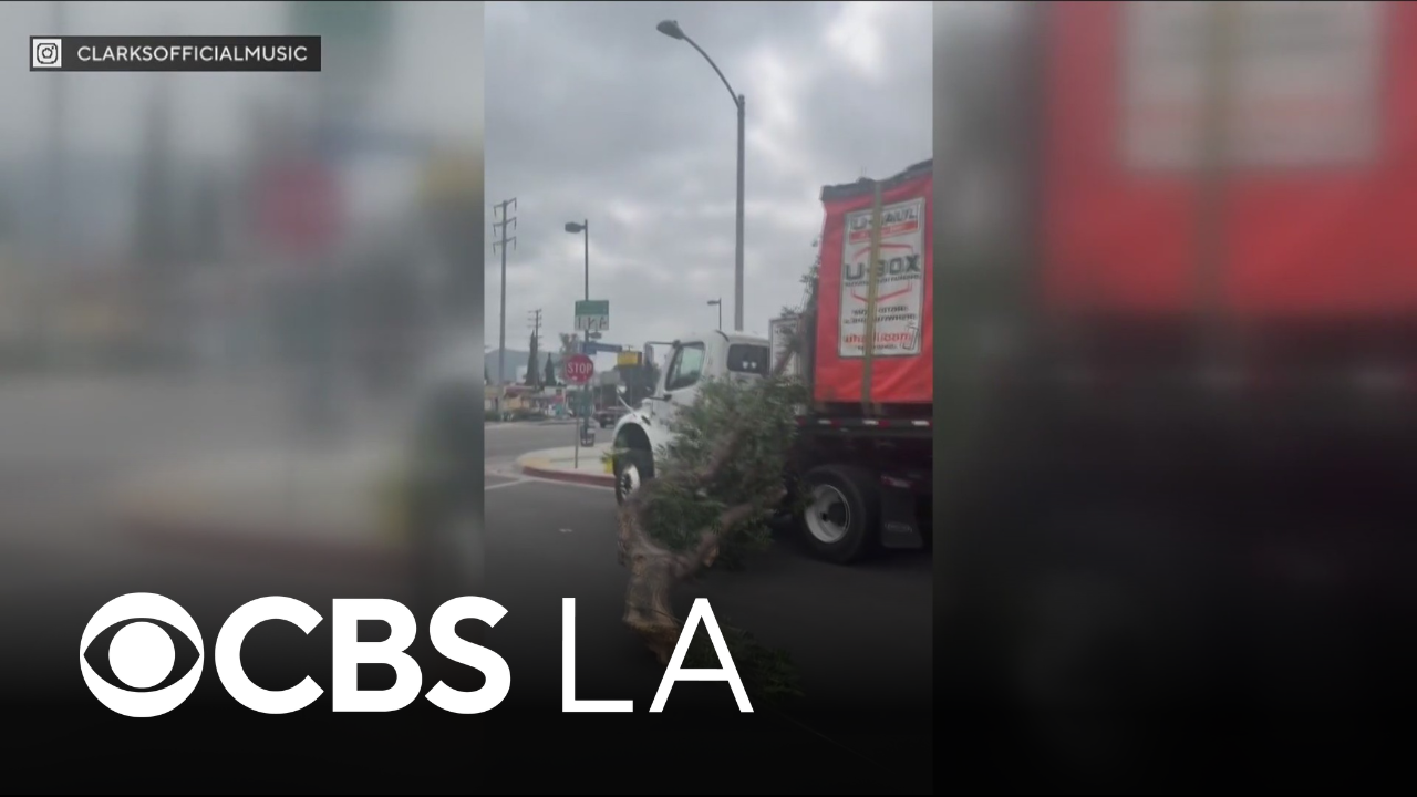 Truck carrying U-Haul boxes in North Hollywood snaps branch off tree ...