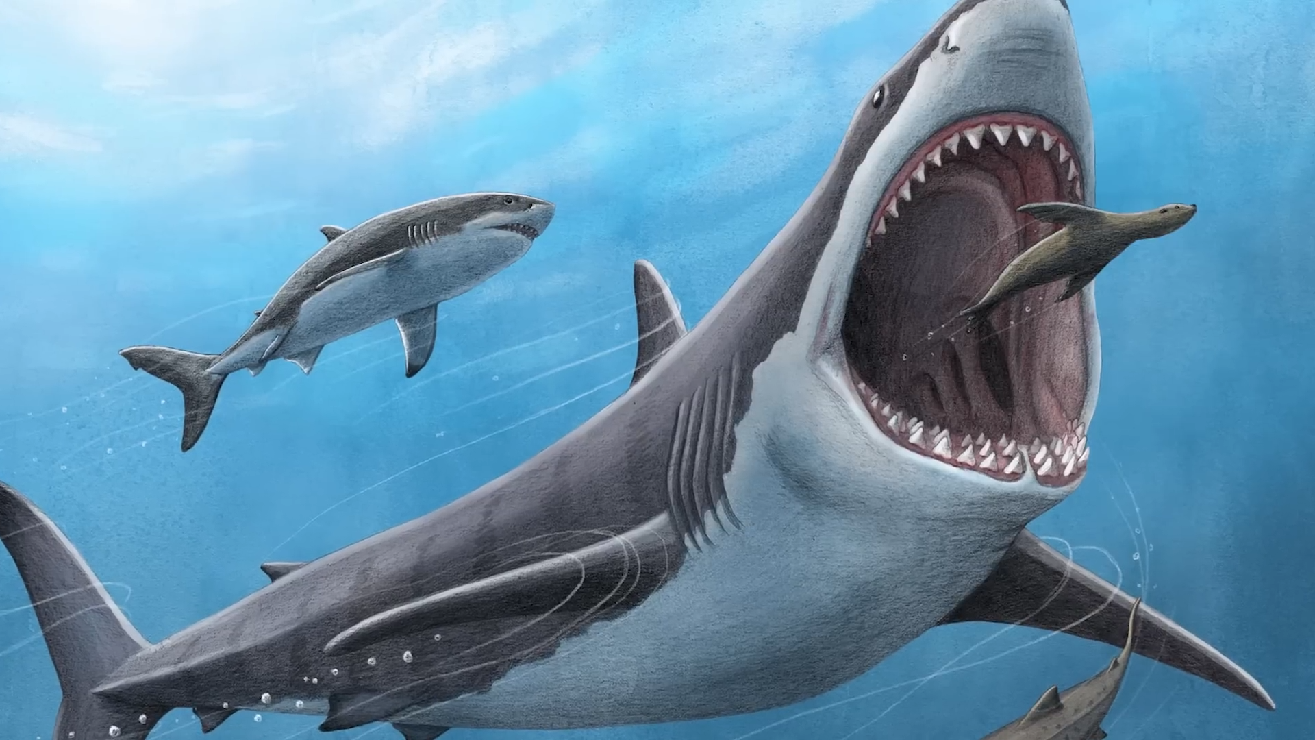 Watch what happens when a 60-foot shark hunts like an oceanic monster