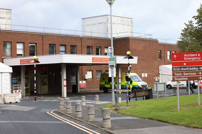 Gardai probe 'personal grudge' motive for Dublin park assault as man ...