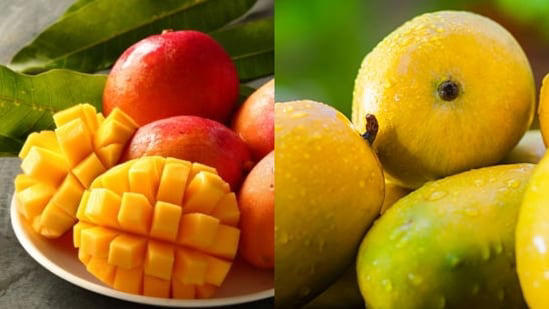 Alphonso vs Kesar mango nutrition faceoff: Comparing fiber antioxidants ...