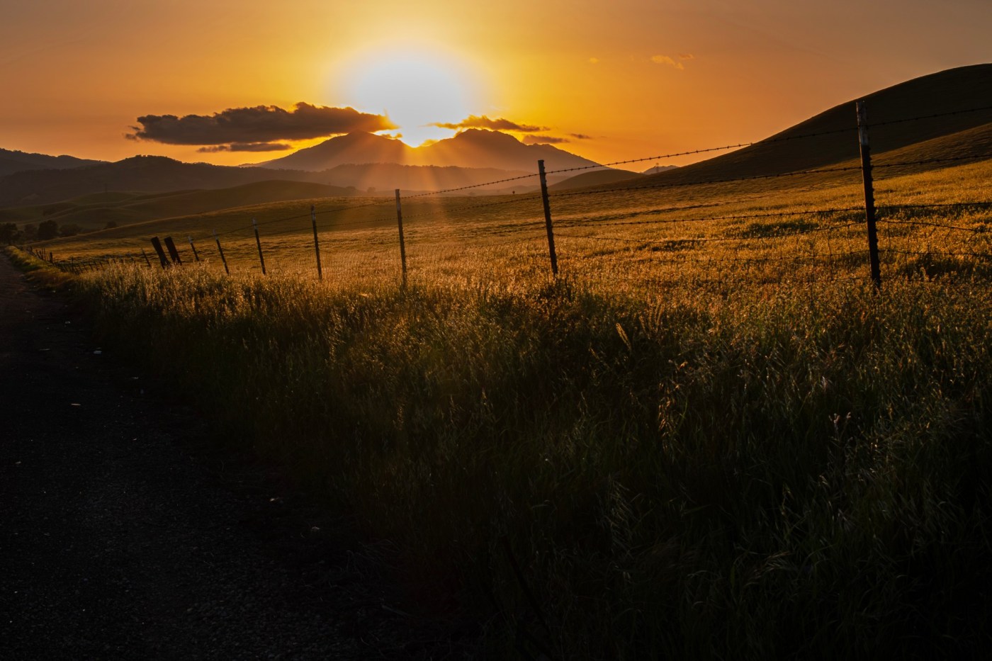 Hint of summer to arrive as Bay Area temperatures set to rise