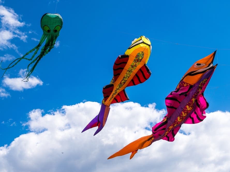 Kite fly planned at Frontier Sports Complex in Naperville