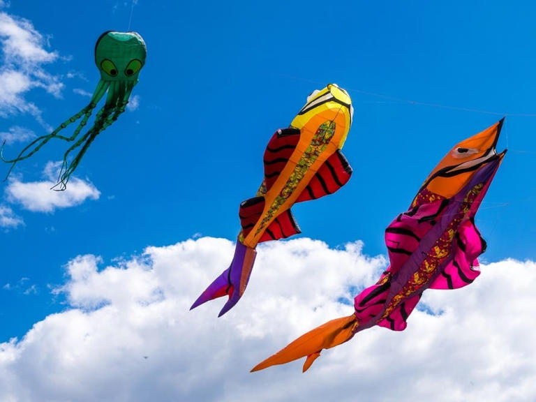 Kite fly planned at Frontier Sports Complex in Naperville
