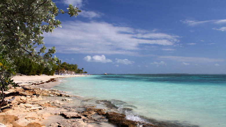 The most underrated Bahamas destination has world-class fishing ...