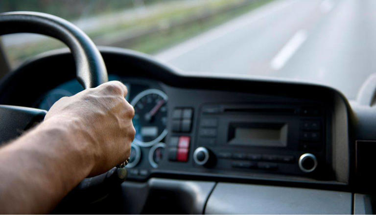 Proibição de pesados no Cartaxo: associações do setor contestam ...