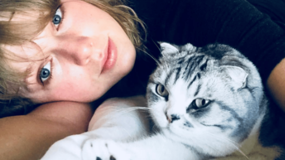 These are the 10 most famous celebrity pets that went viral