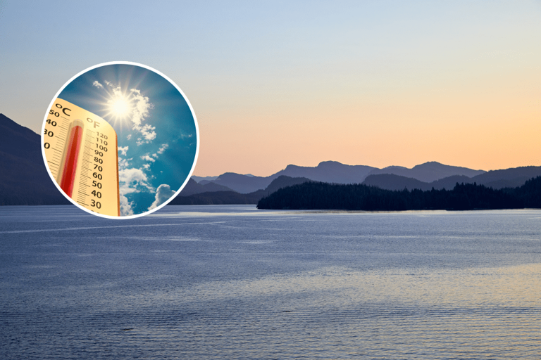 People told keep curtains closed for 10 hours as warning issued