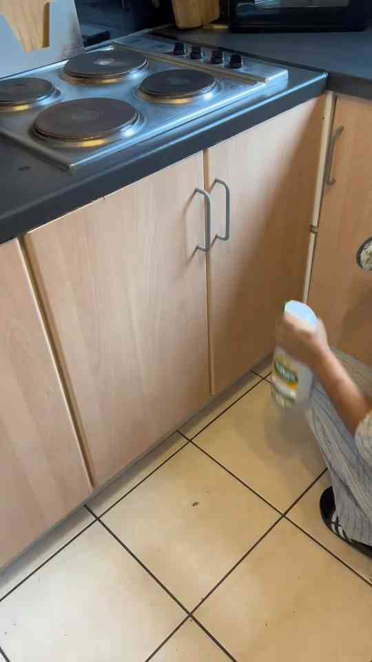 Fresh home reset with simple spring cleaning motivation
