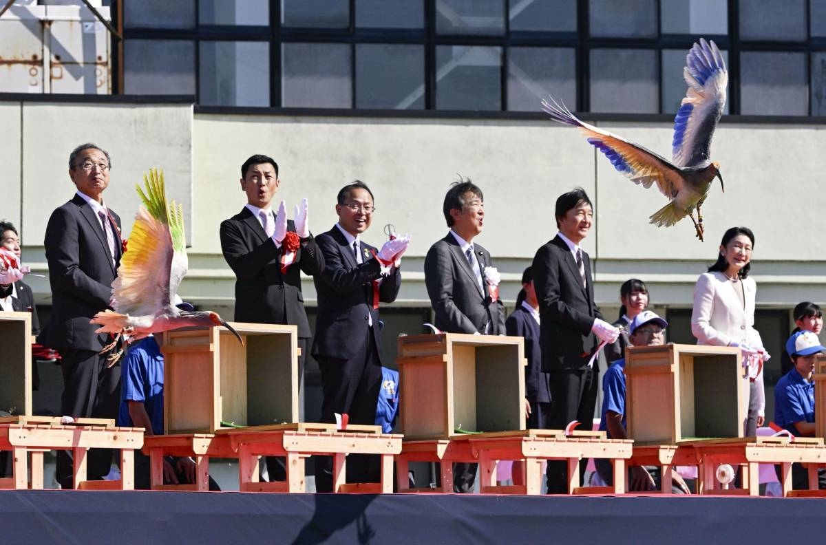 8 crested ibises released in Japanese town decades after extinction in ...