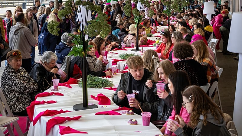 La Lituanie voit la vie en rose pour un grand festival de soupe froide