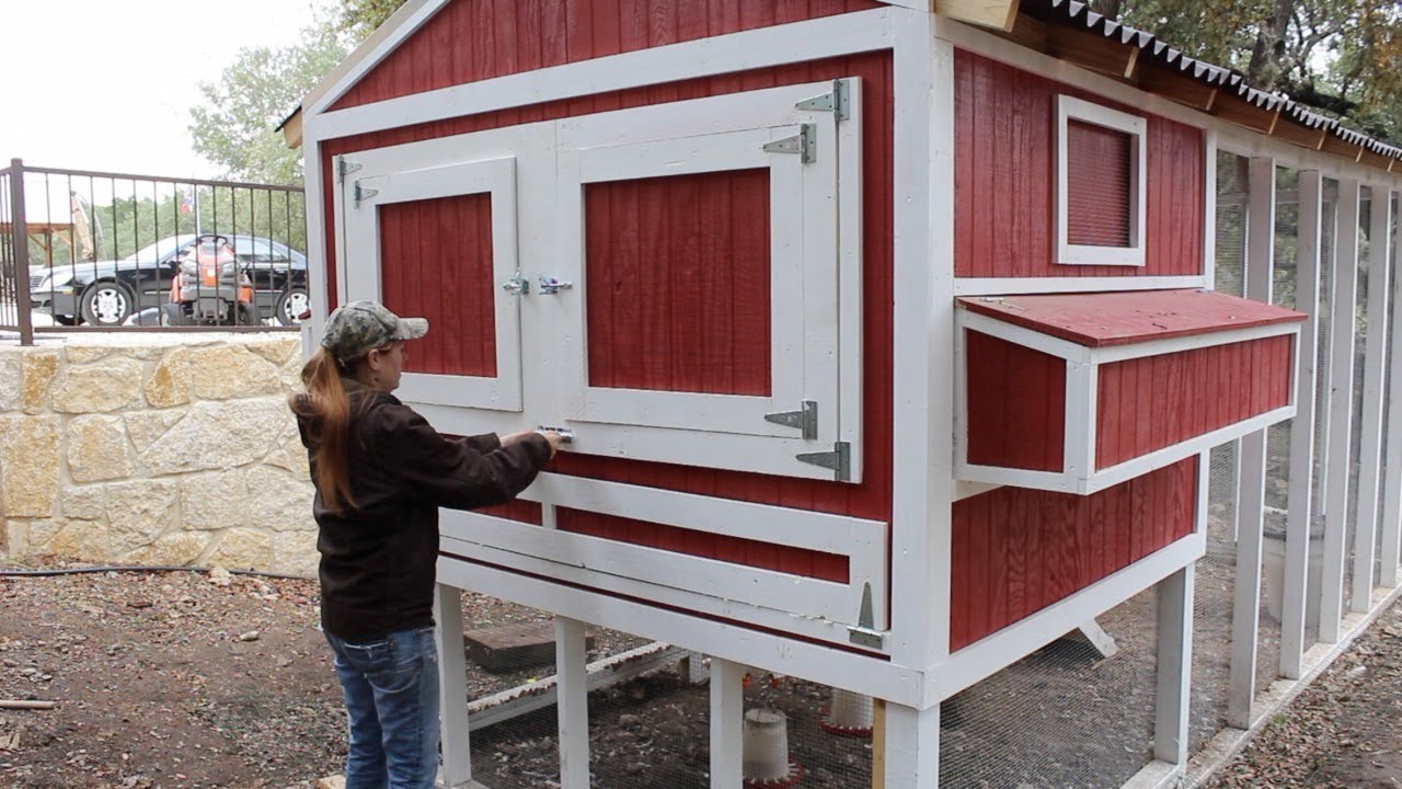 How to build a chicken coop (part 3)