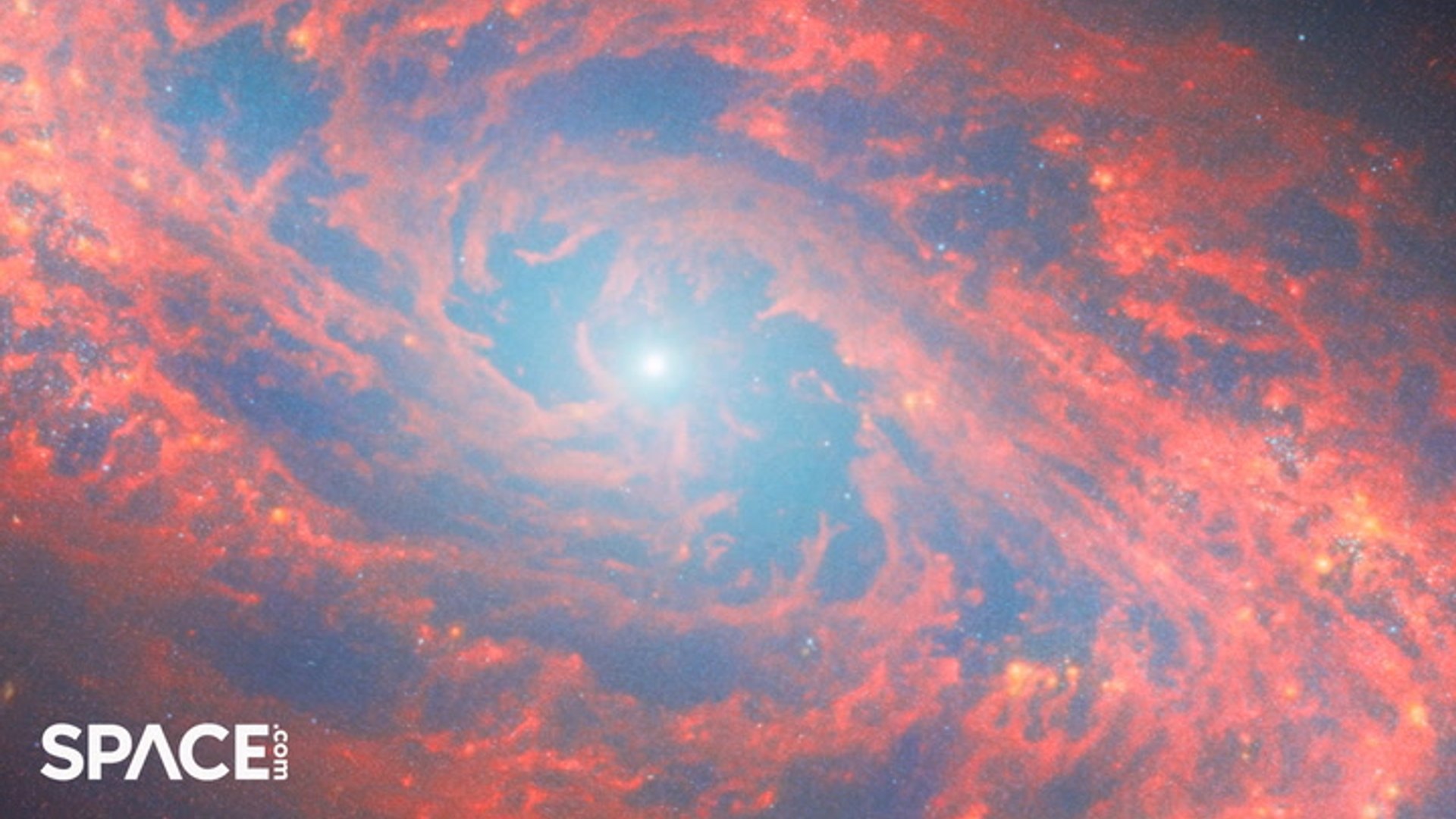 Stunning spiral galaxy NGC 5134 spied by James Webb Space Telescope