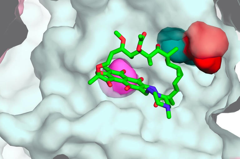 Researchers discover how to turn one germ's drug resistance into an ...