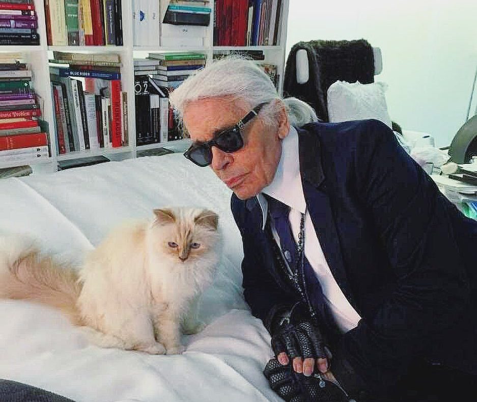 Karl Lagerfeld’s cat living broke after receiving ‘absolutely nothing ...
