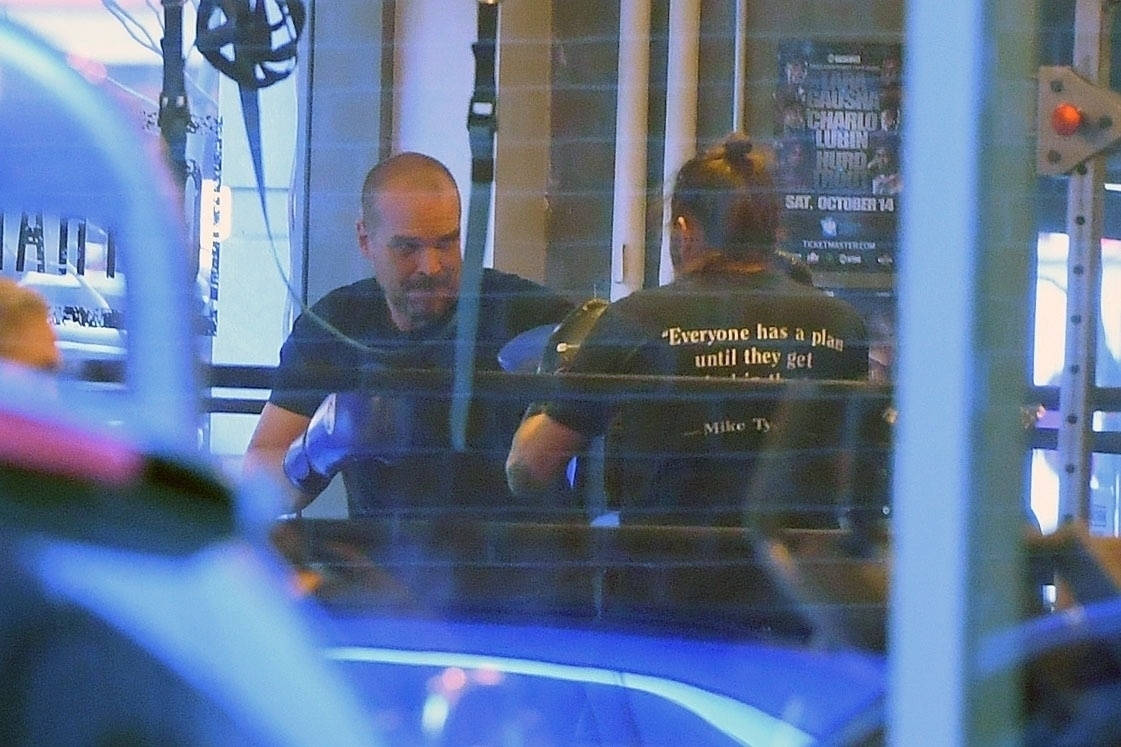 Punchy neighbor takes a swing at celeb-studded boxing gym, but misses