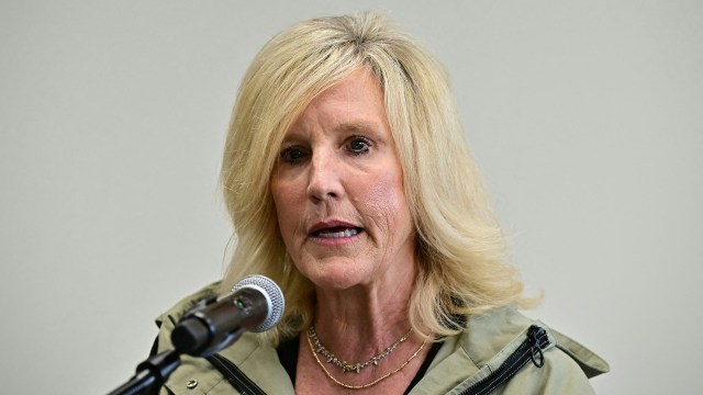 Erin Brockovich takes aim at secretive data center boom with new ...