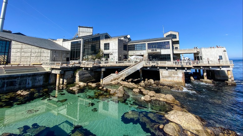 The 5 best interactive aquarium exhibits in America, according to reviews