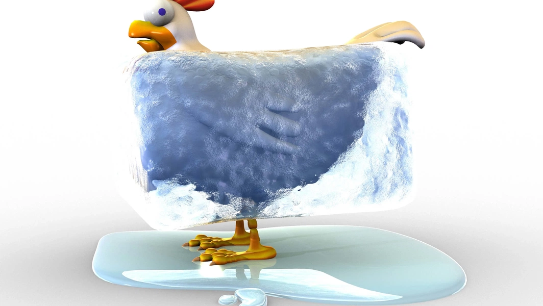 Frozen chicken secrets every home cook should know