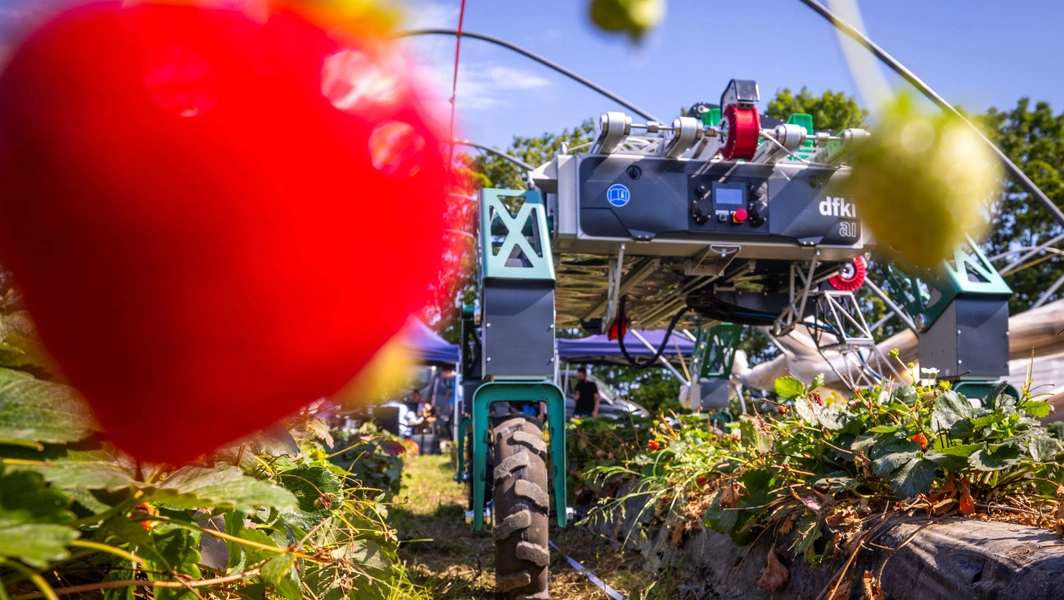 Garden experts highlight human touch over AI in plant care