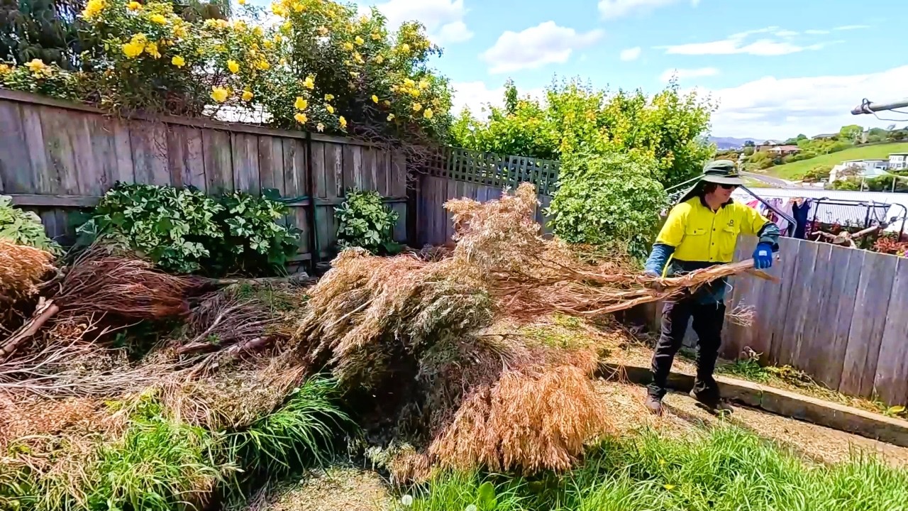 5 kids and no time: Helping this struggling family reclaim their yard!