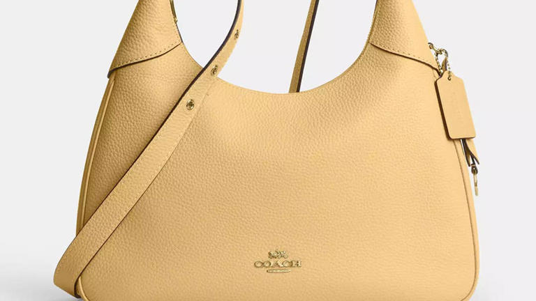 Coach Outlet’s 'timeless' leather purse is the 'perfect everyday bag ...