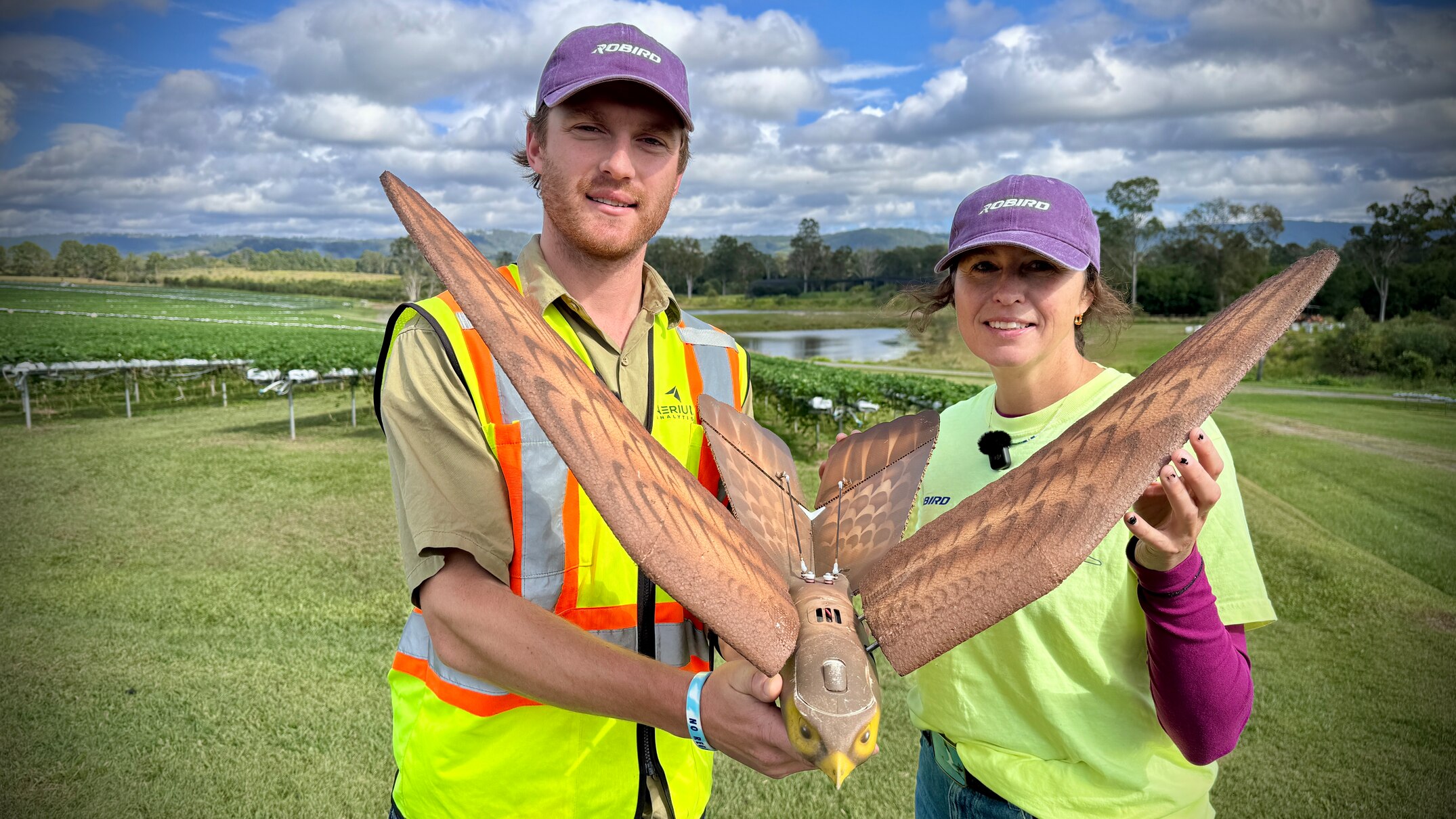 Falcon-like flapping drone drives birds away from strawberry crops in ...