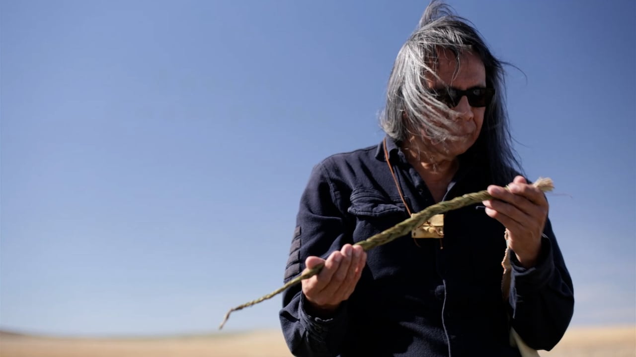 Science and tradition merge to restore sweetgrass to Alberta's wetlands