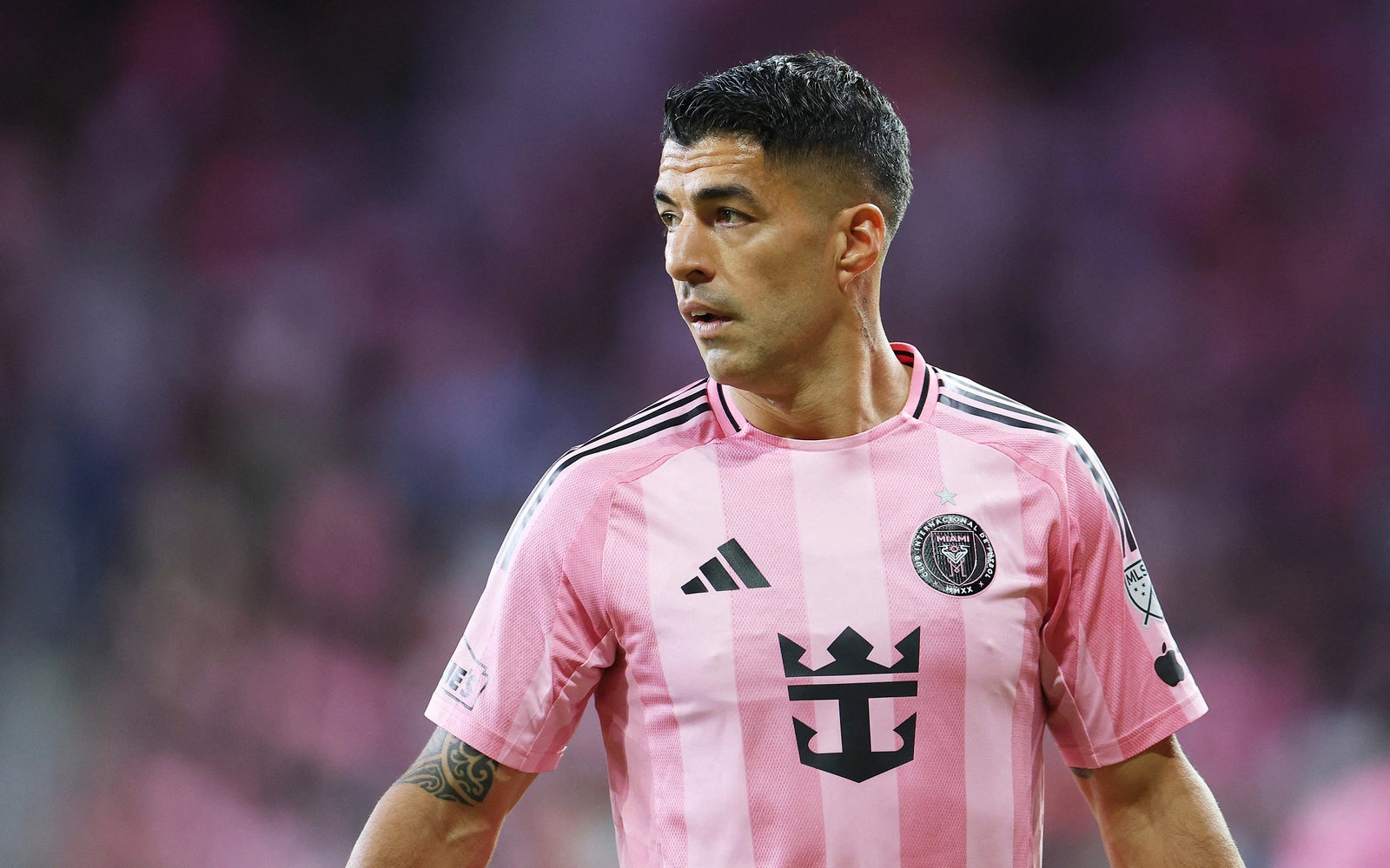 Bielsa says Suarez owes no apology after World Cup omission